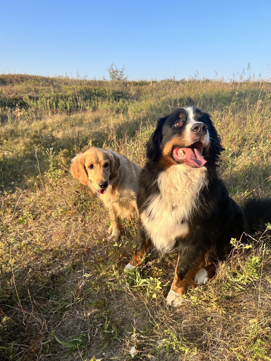 Bunsen, BEAKER, and Bernoulli's Threads – Thread Reader App