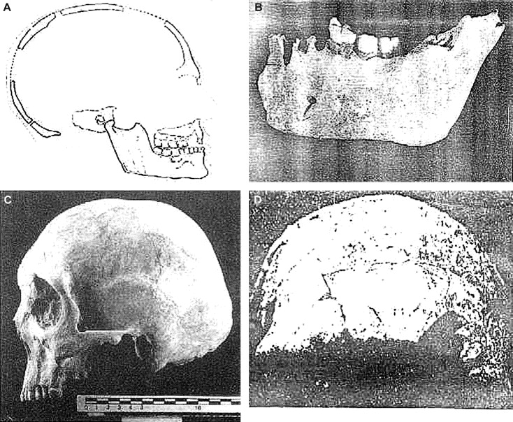 Thread by @GemsOfINDOLOGY on Thread Reader App – Thread Reader App