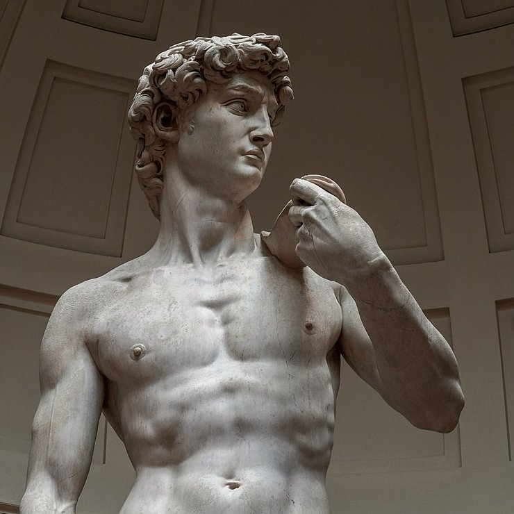 This is Francesco Queirolo's "Disinganno", a marble statue carved 264 ...