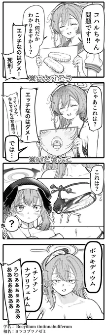 天変地異ちわわ | C105日曜日G-02b@mecchainukaitaiの漫画作品一覧