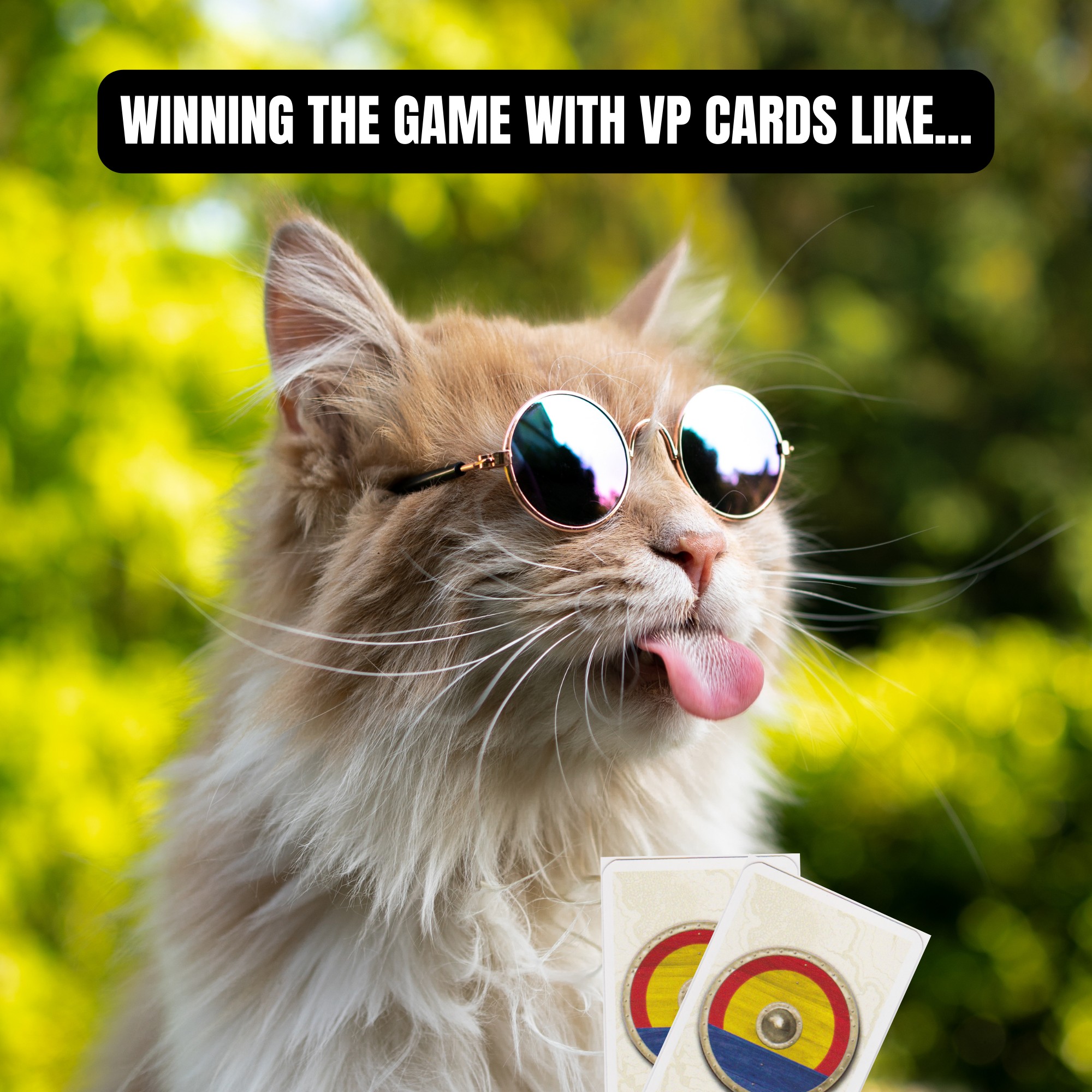 Funny Catan Memes Siedler Von Catan Meme | TikTok