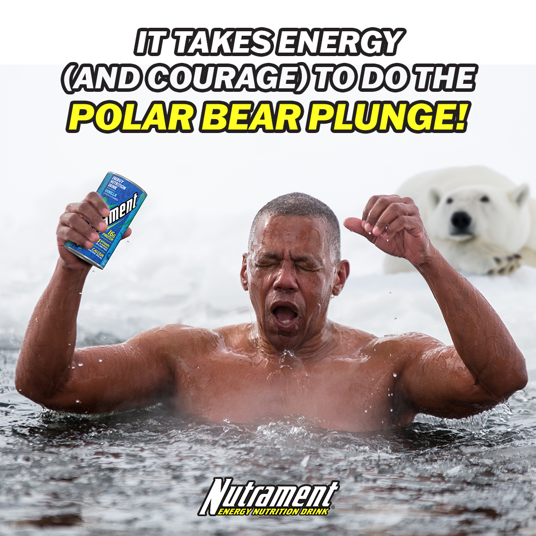 Funny Polar Bears Meme