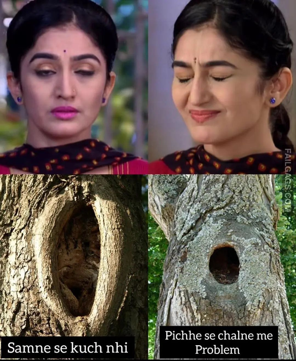Memes Serial India