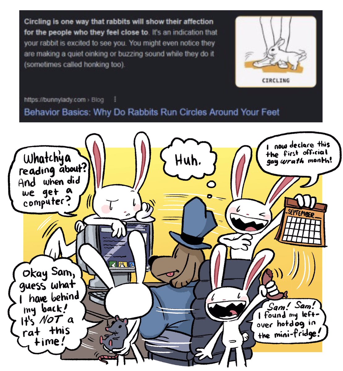 「A study in rabbit behavior 🐇💗」JELLYの漫画