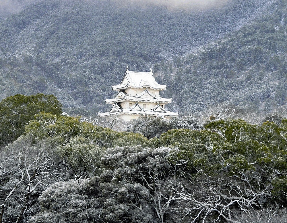 Kimura Goro(@ksphagnum) - Twilog