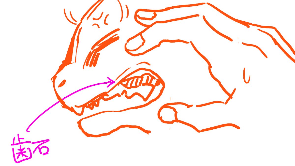 sharp teeth teeth anger vein white background simple background closed ...