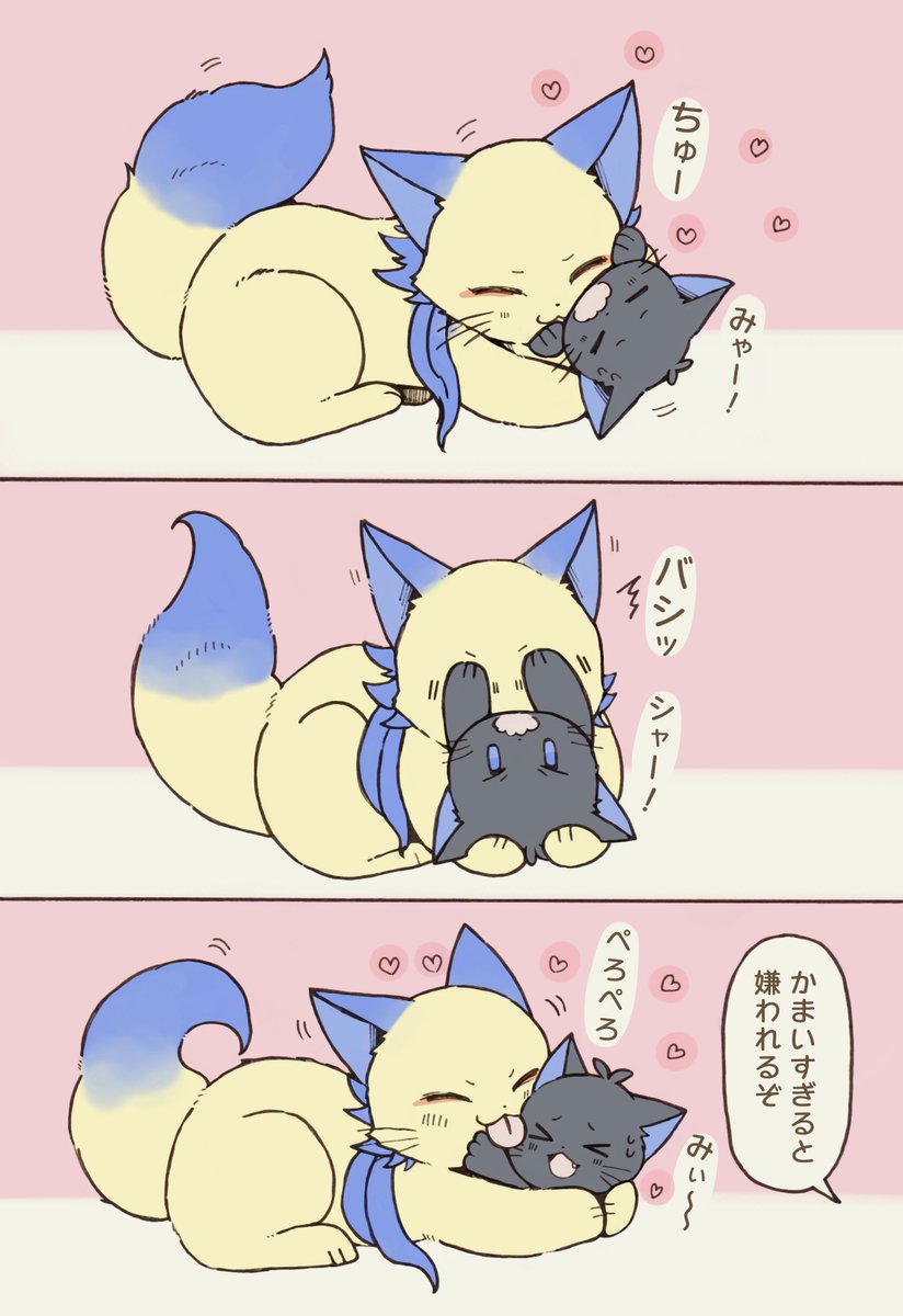 「41にゃんを かまいすぎるkiにゃん kiis ※擬獣化 ※獣化注意 」coto🐈‍⬛🌸🌱の漫画