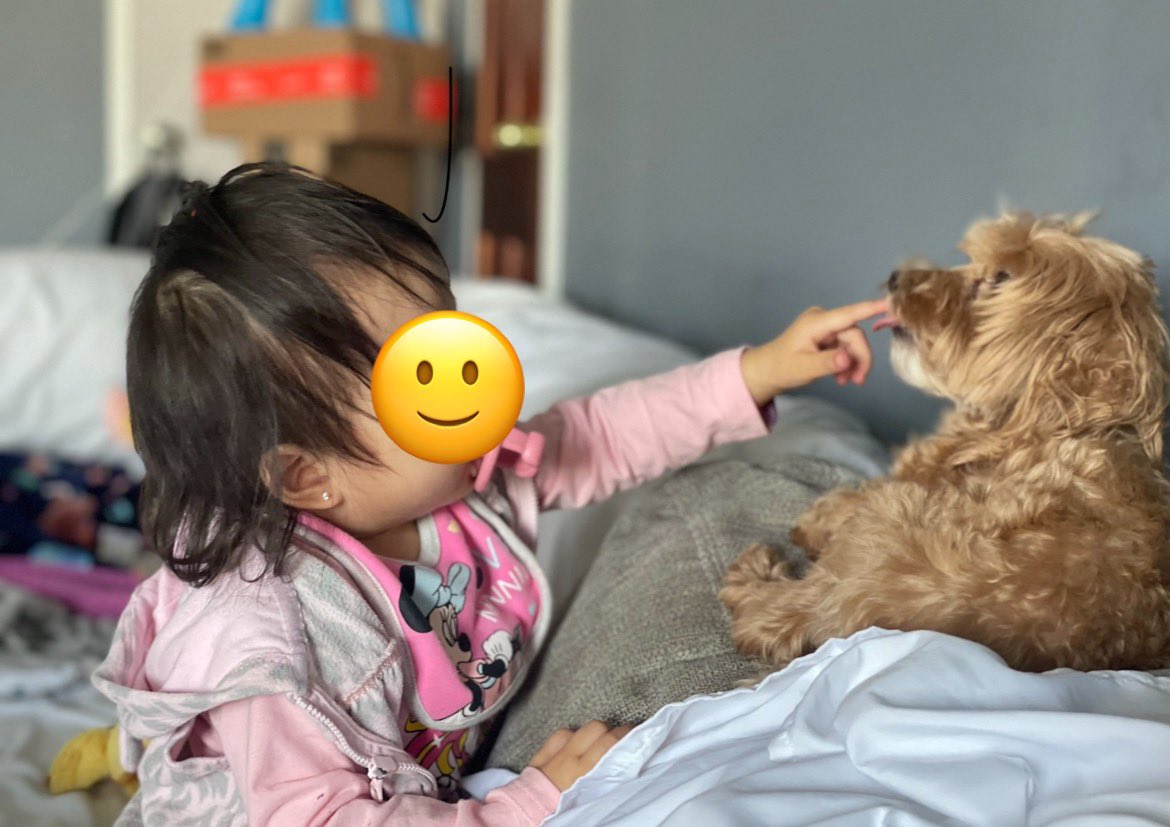 9 reasons why your kids should grow up with dogs: - Thread from Fredo ...