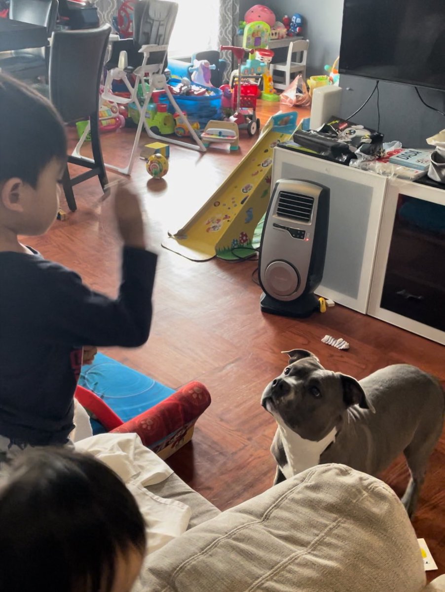 9 reasons why your kids should grow up with dogs: - Thread from Fredo ...