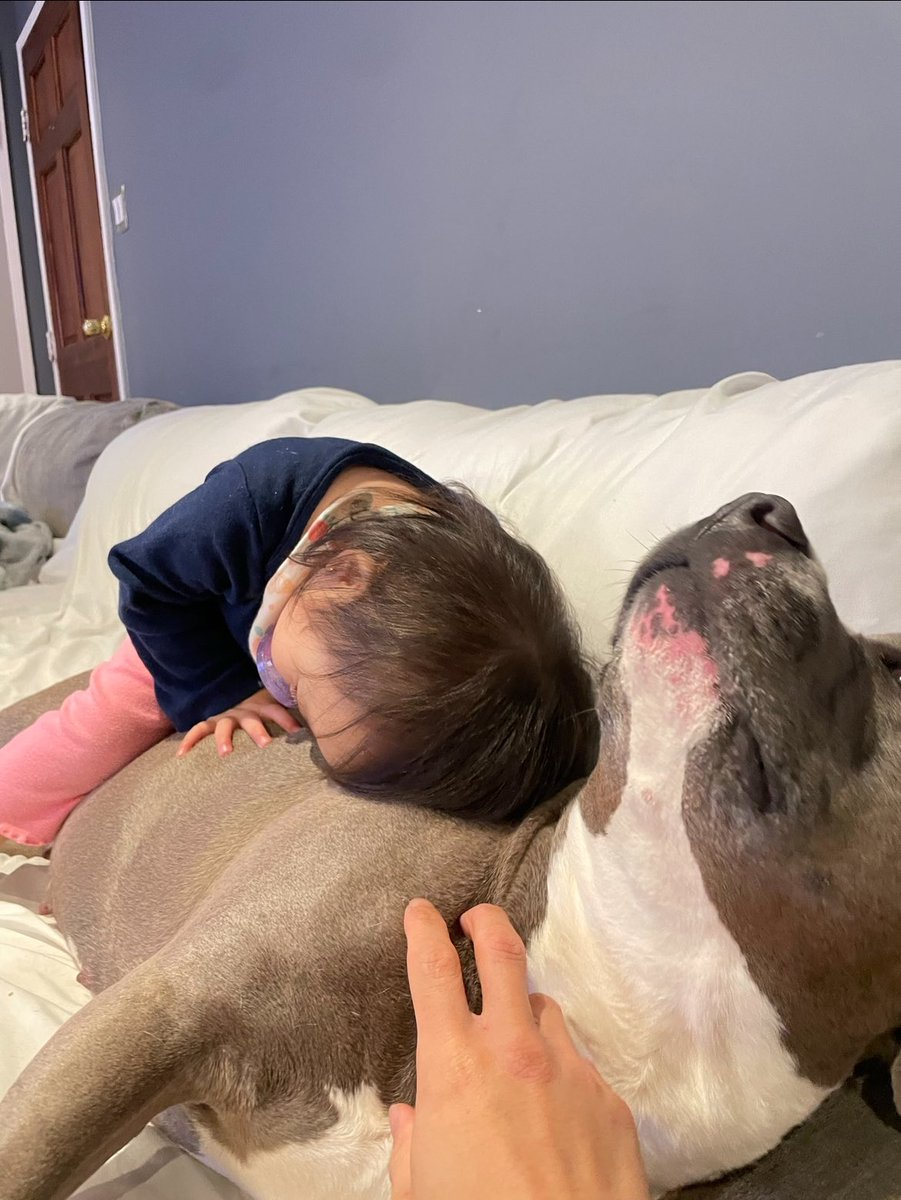 9 reasons why your kids should grow up with dogs: - Thread from Fredo ...