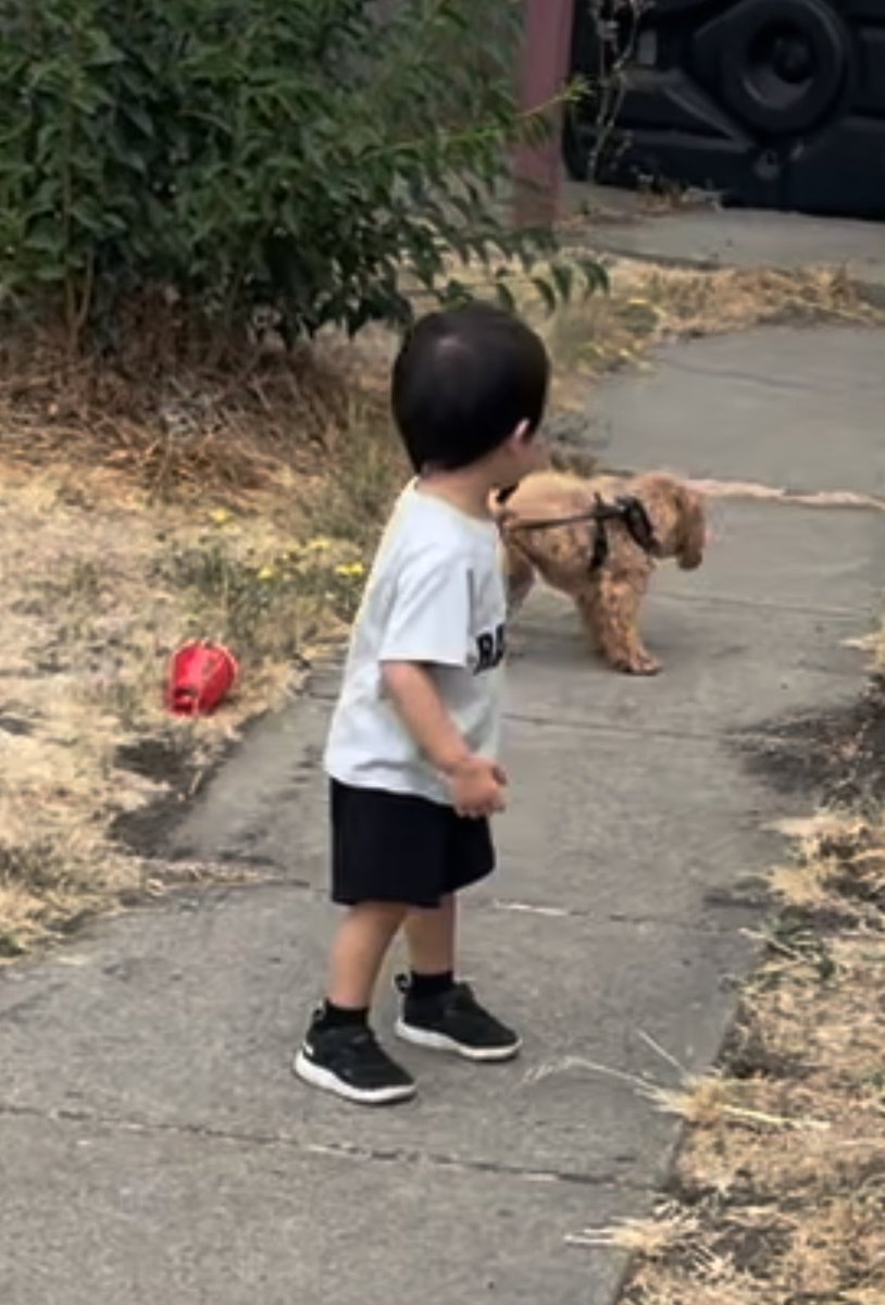 9 reasons why your kids should grow up with dogs: - Thread from Fredo ...