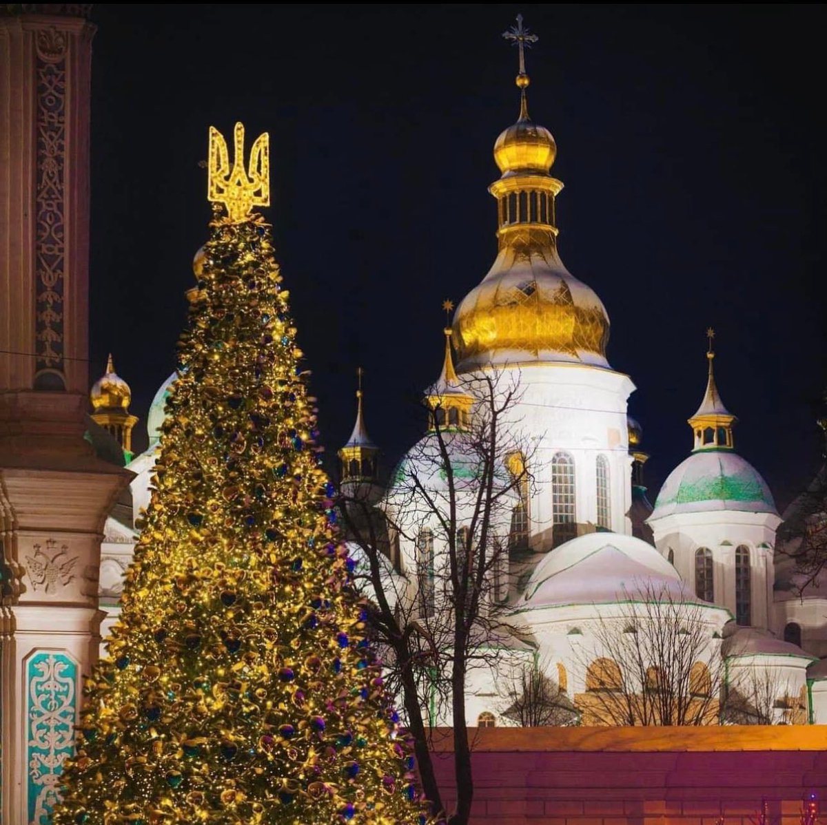 Meowki (@Meowki@mastodon.world) - Mastodon