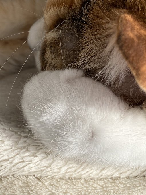 市田 真紀（ライター・きき酒師）(@macky_writer) - Twilog