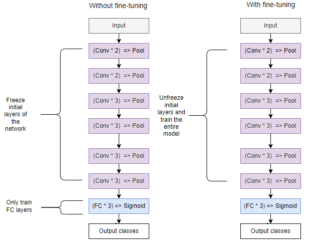 Training NLP and CV models from scratch is a waste of resources ...