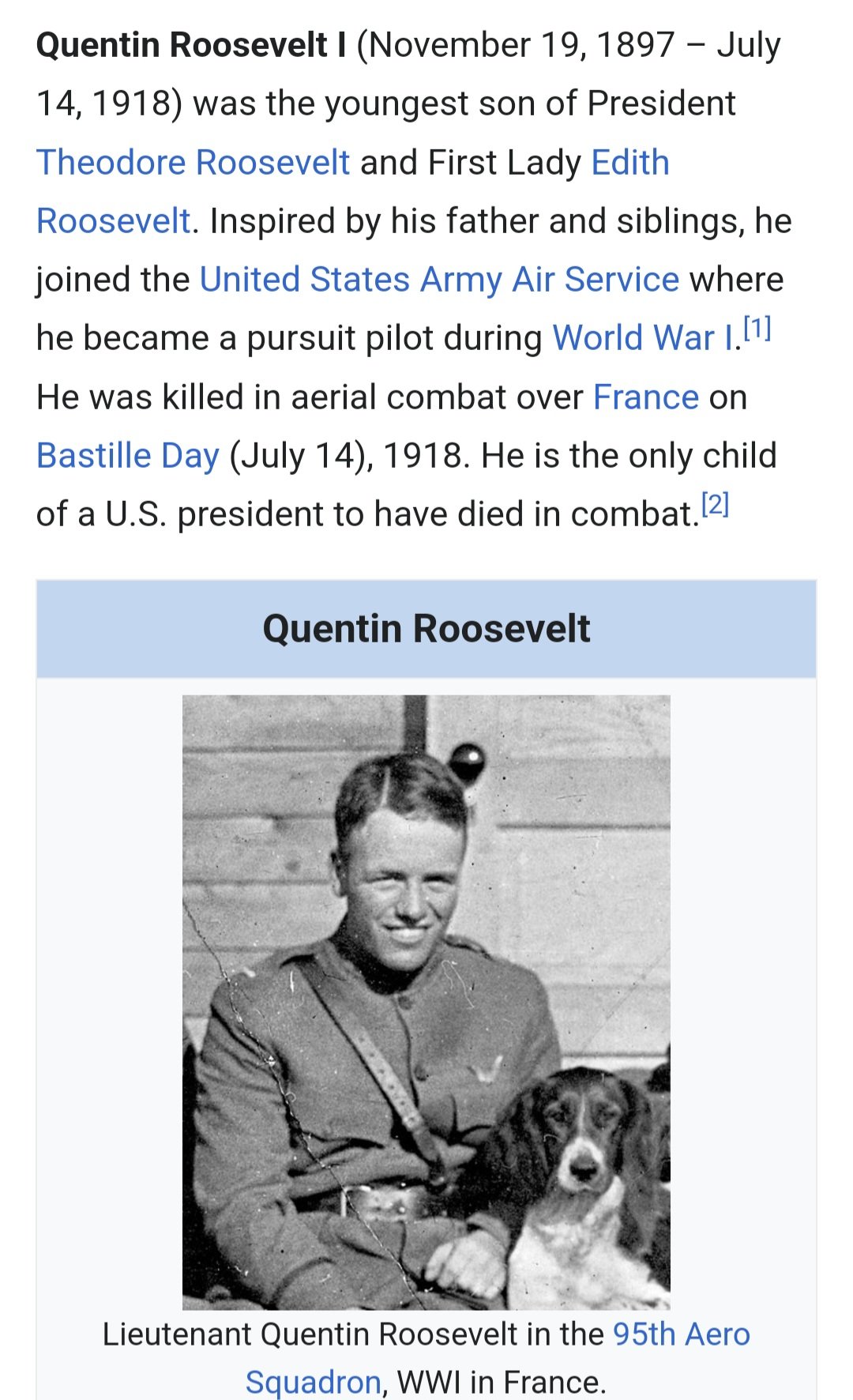 Quentin Roosevelt Quotes Theodore Roosevelt A Country Without Trees