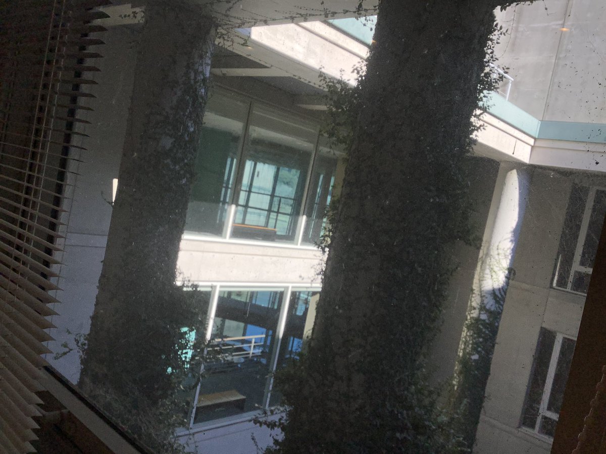 全卓樹(@Quantum_Zen) - Twilog