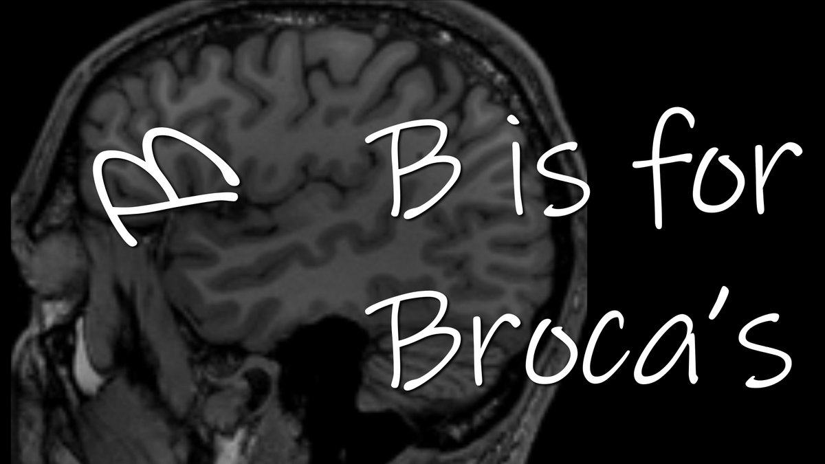 1/Do you get a Broca’s aphasia trying remember the location of Broca's ...