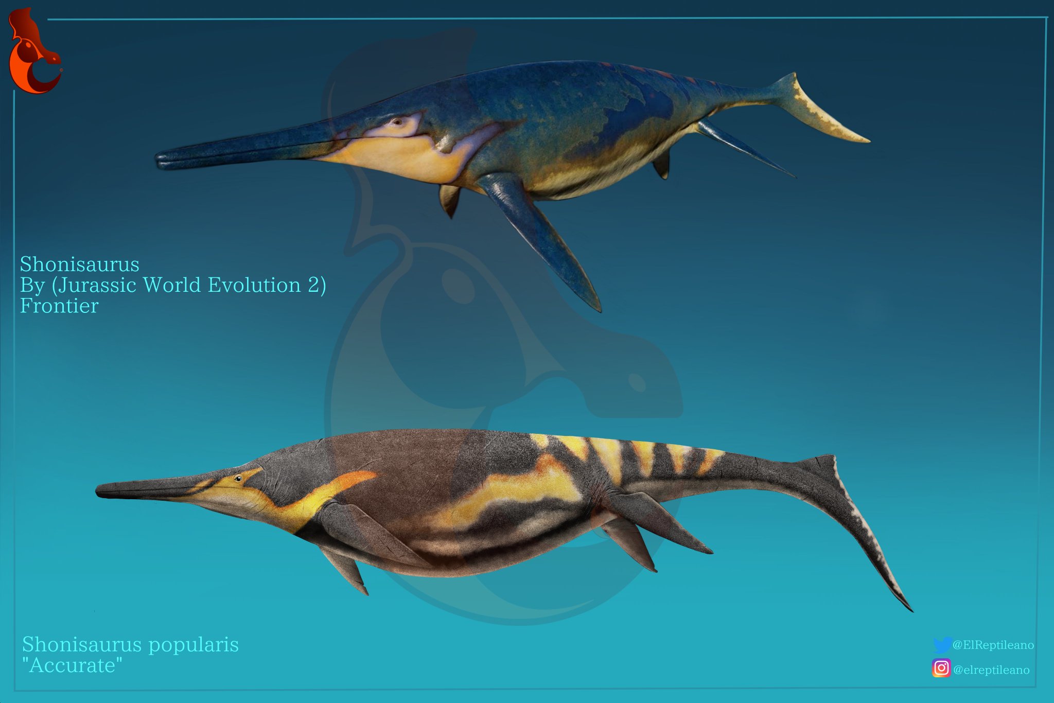 Shonisaurus Facts And Pictures Shonisaurus: You Are The Size Of Its