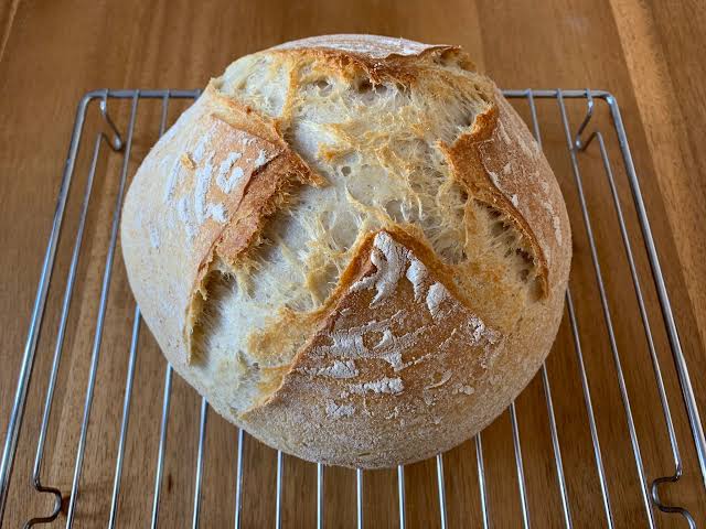 This is what 3,500 year old ancient Egyptian bread looks like | ResetEra