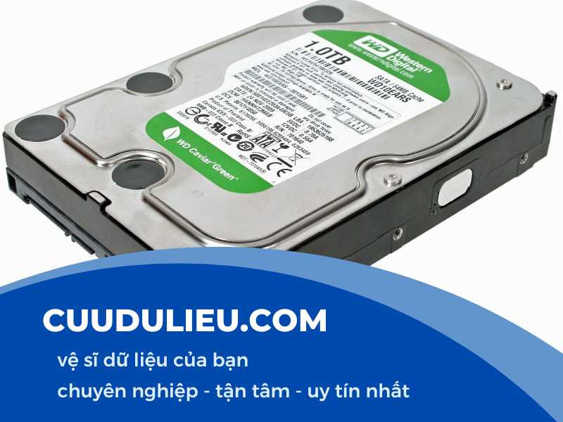 Ổ Cứng SSD Tiếng Anh Là Gì: Khám Phá Công Nghệ Lưu Trữ Tốc Độ Cao
