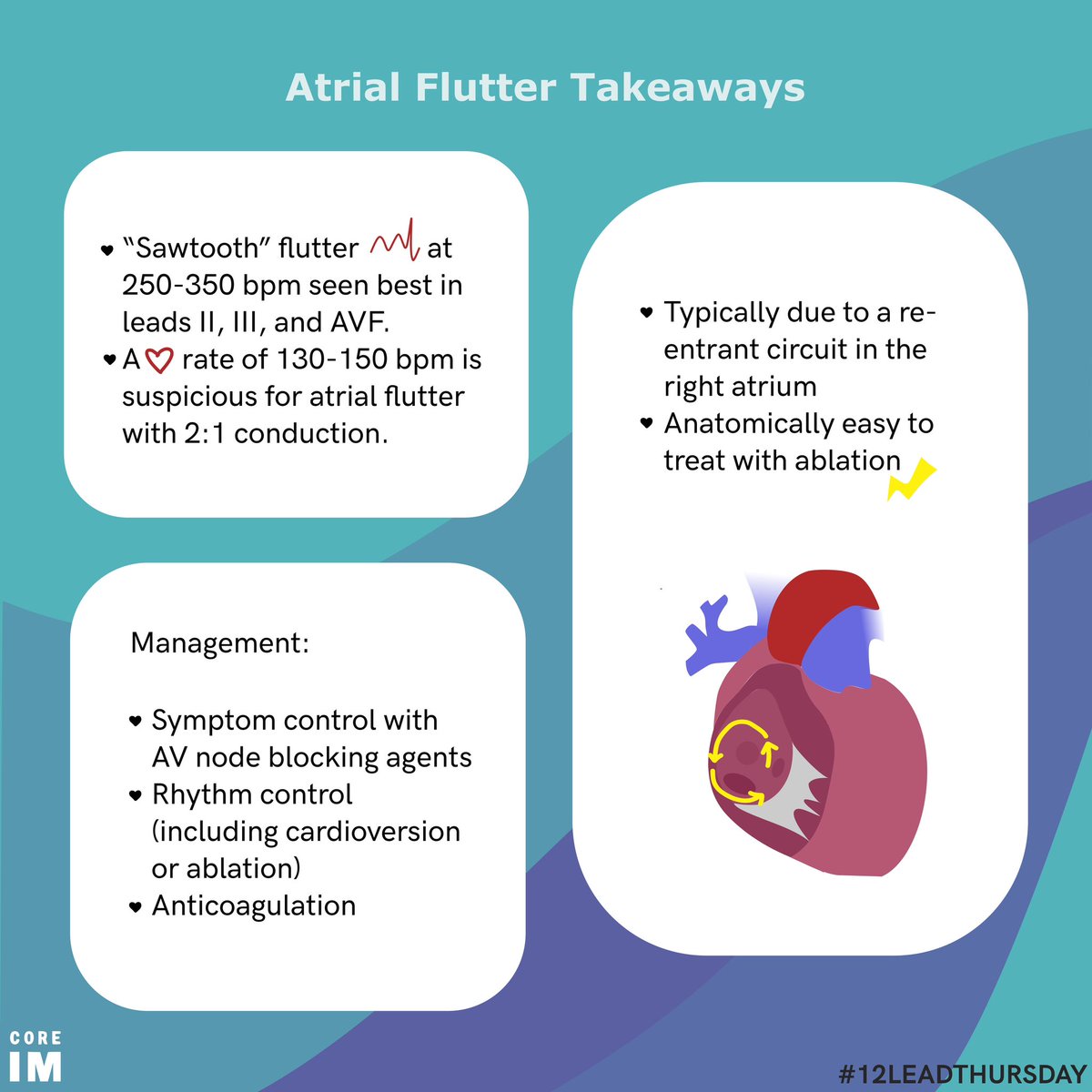1/ 60-year-old female presents with palpitations and this EKG 🫀. Put on ...