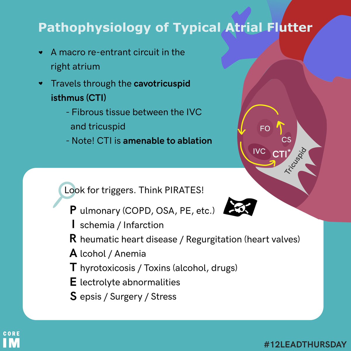 1/ 60-year-old female presents with palpitations and this EKG 🫀. Put on ...