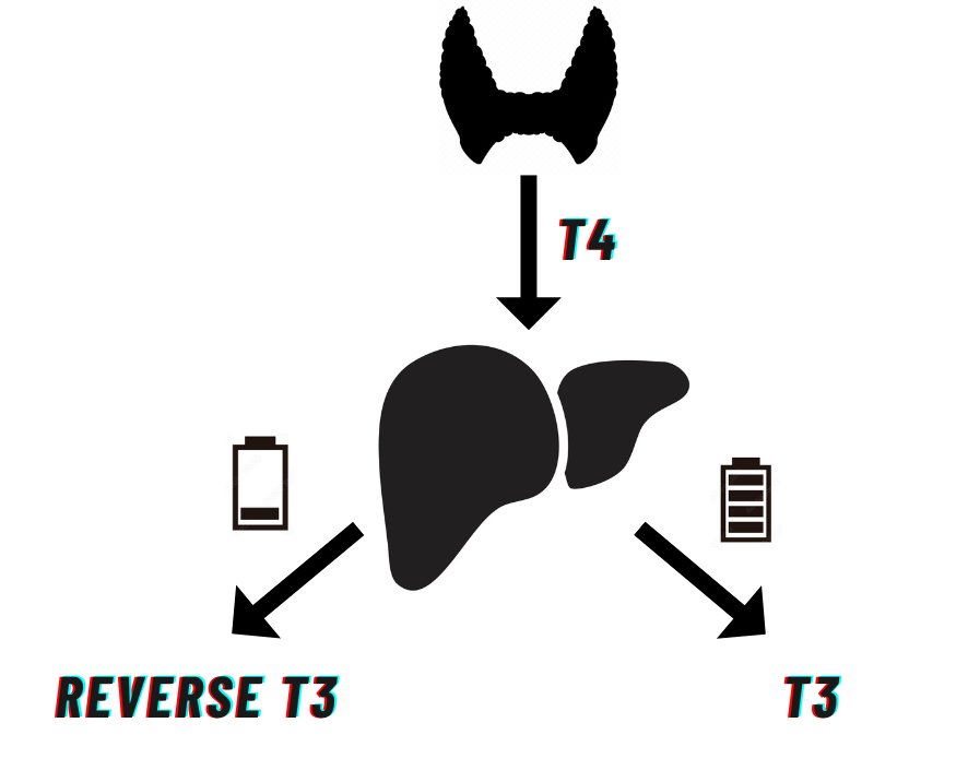 How many of these symptoms do you have? Chances are, at least a few ...