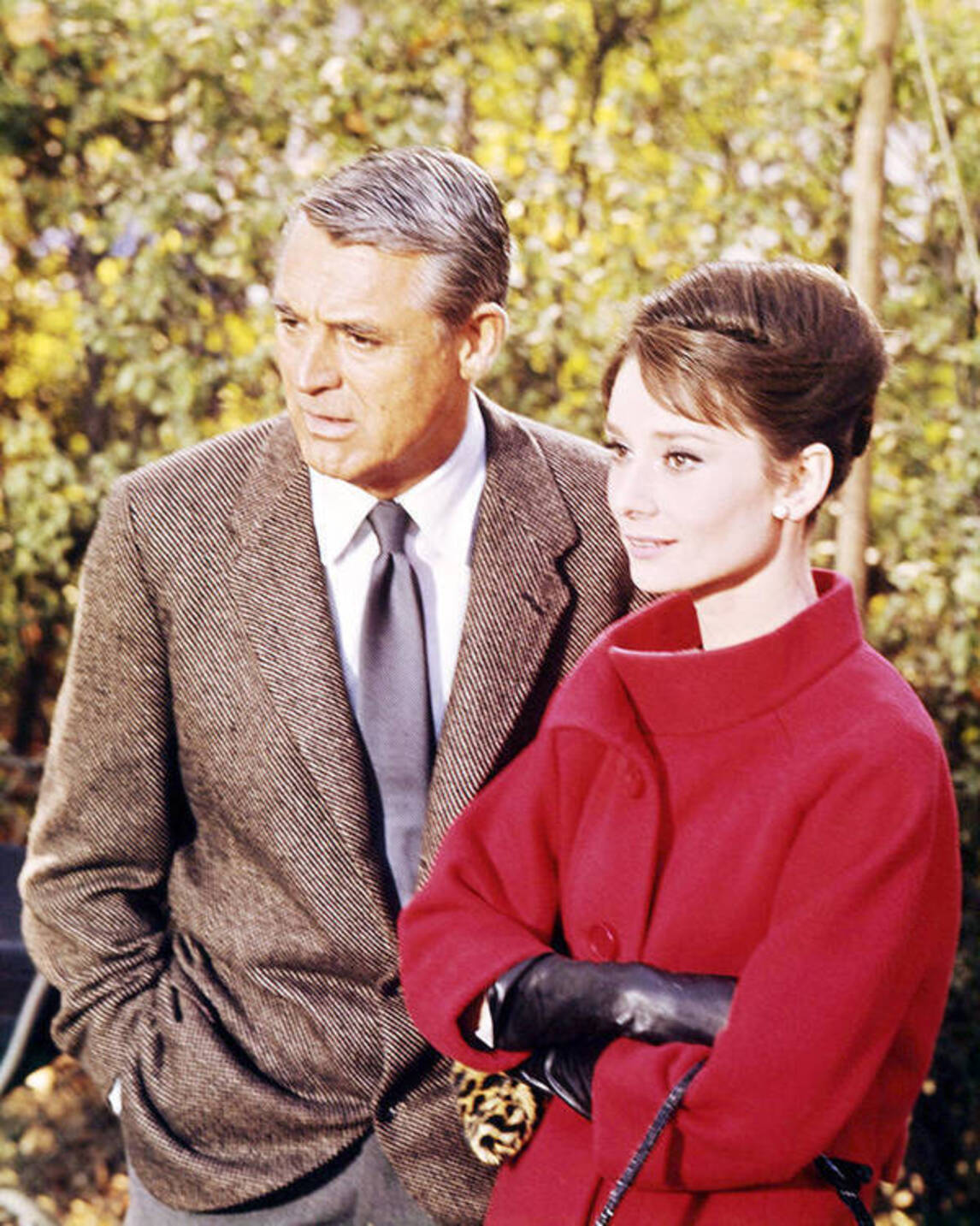Cary Grant Und Audrey Hepburn Shower Scene From Charade (1963) Cary
