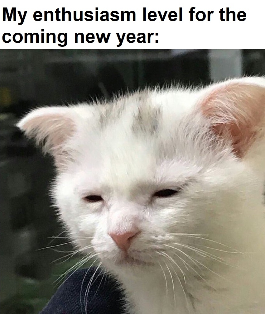 New Year Cat Memes Happy New Year! May All Your Good Dreams Come True