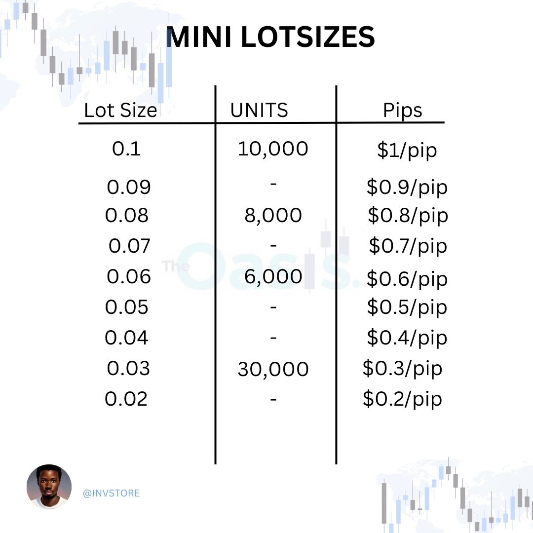 Understanding LOTSIZES and PIPS for both beginners and Pro. At the end ...