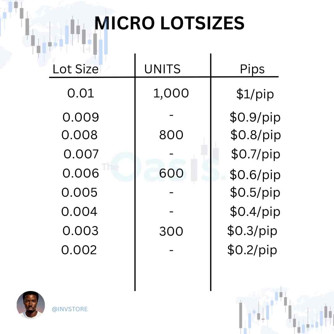 Understanding LOTSIZES and PIPS for both beginners and Pro. At the end ...
