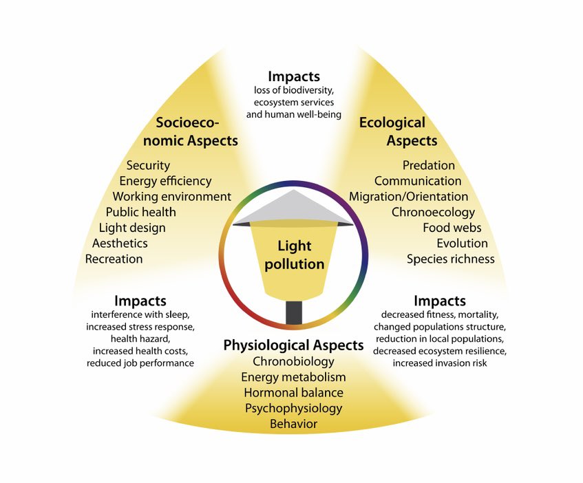 Light pollution is a societal menace Artificial light at night (ALAN ...