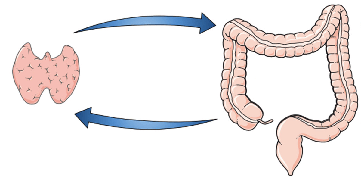 YOU MUST ADDRESS THIS TO FIX YOUR GUT If you’ve tried changing your ...