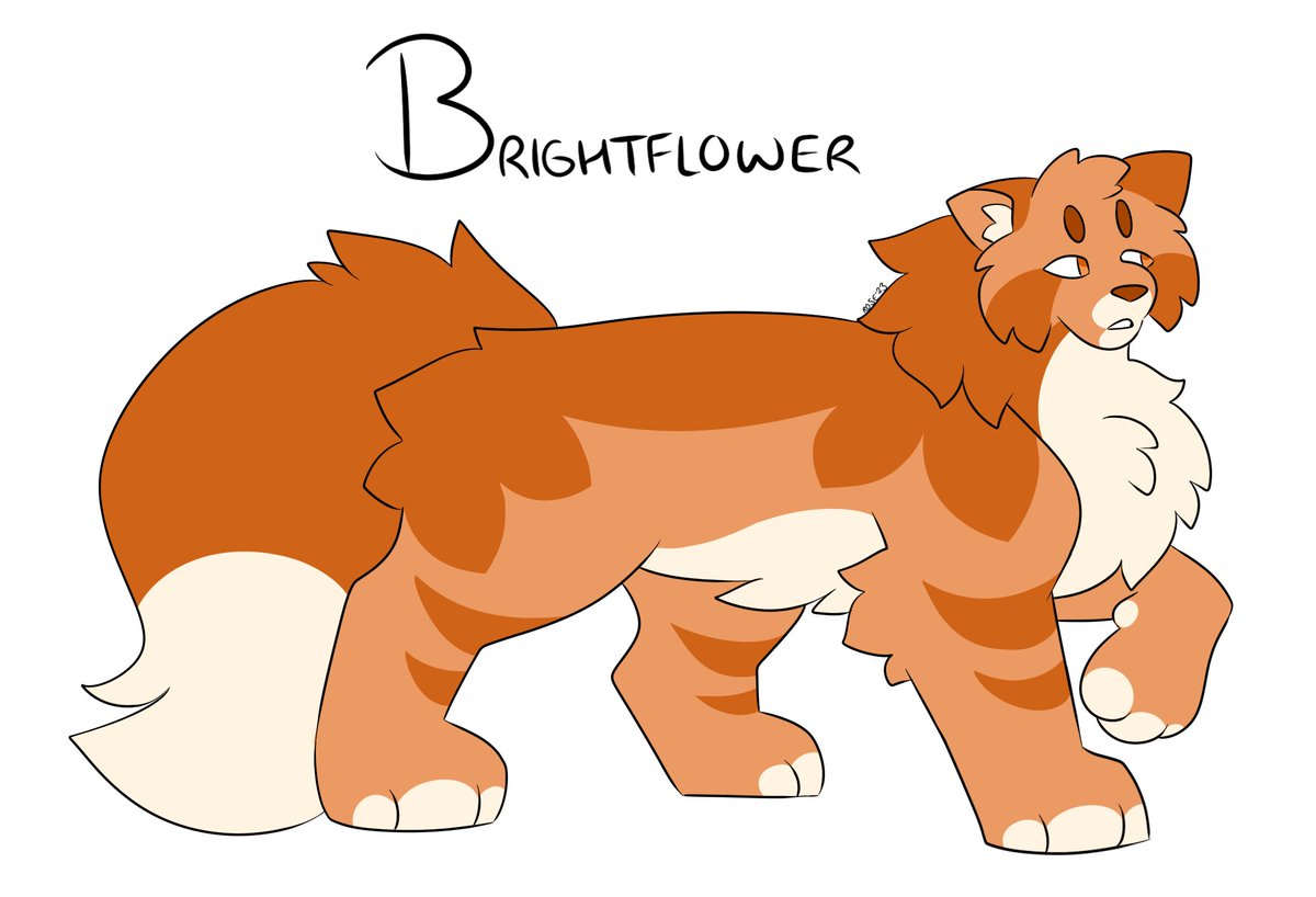 Yellowfang And Raggedstar