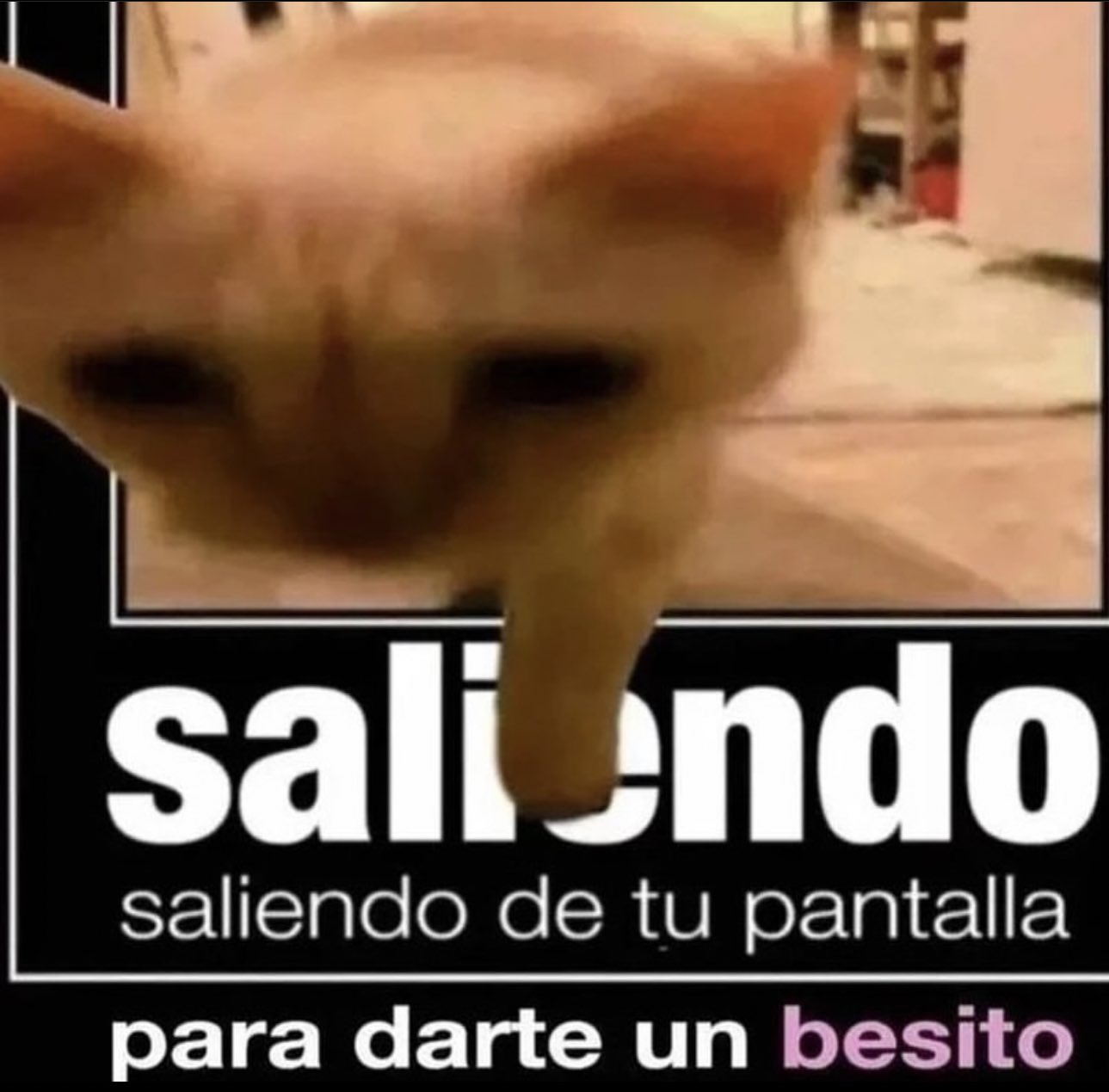 Memes Besito