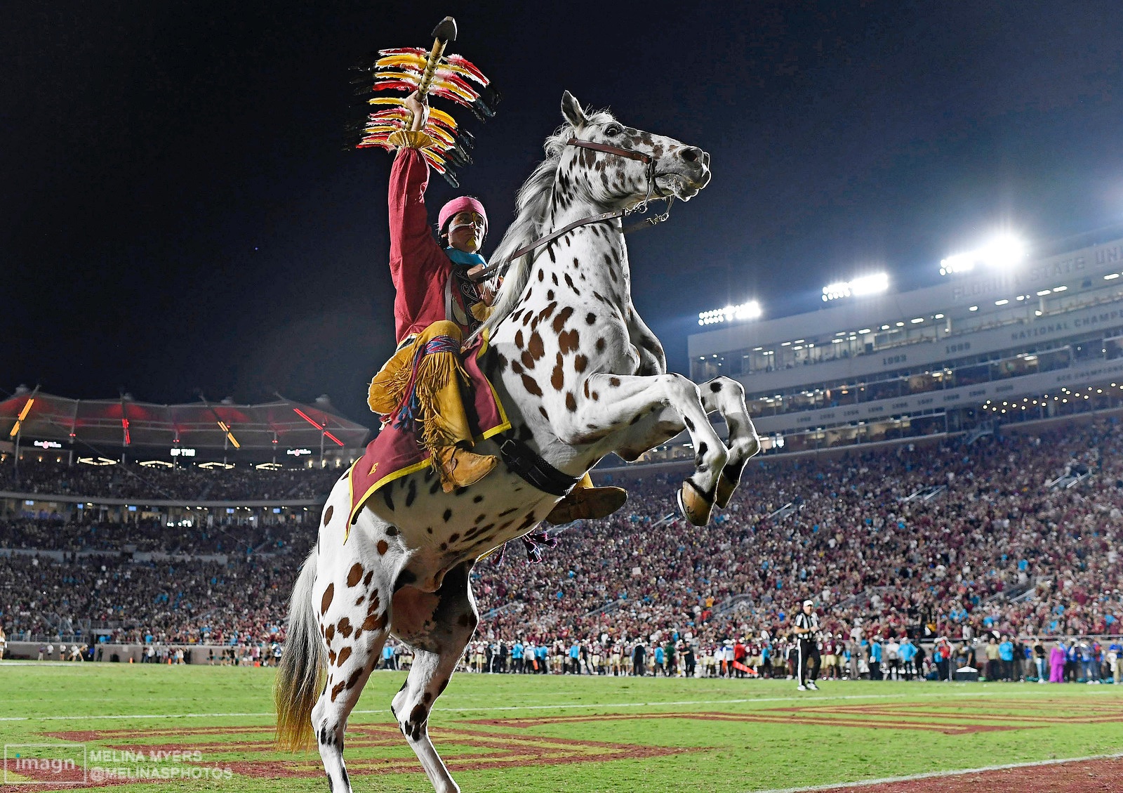 Fsu Unconquered Wallpaper