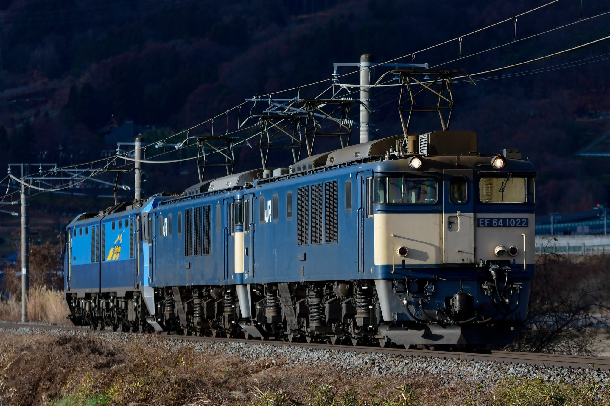 むさっしー目覚まし確認カレンダーみろ勉強しろ人生電車前進せよ むさっしー目覚まし確認カレンダーみろ勉強しろ人生電車前進せよ