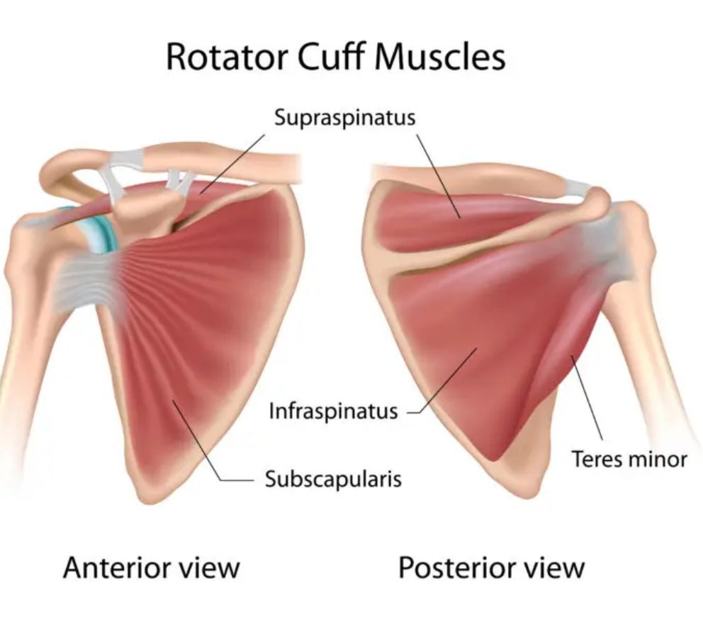 92,7% of you who train do not know the root cause of your injuries ...