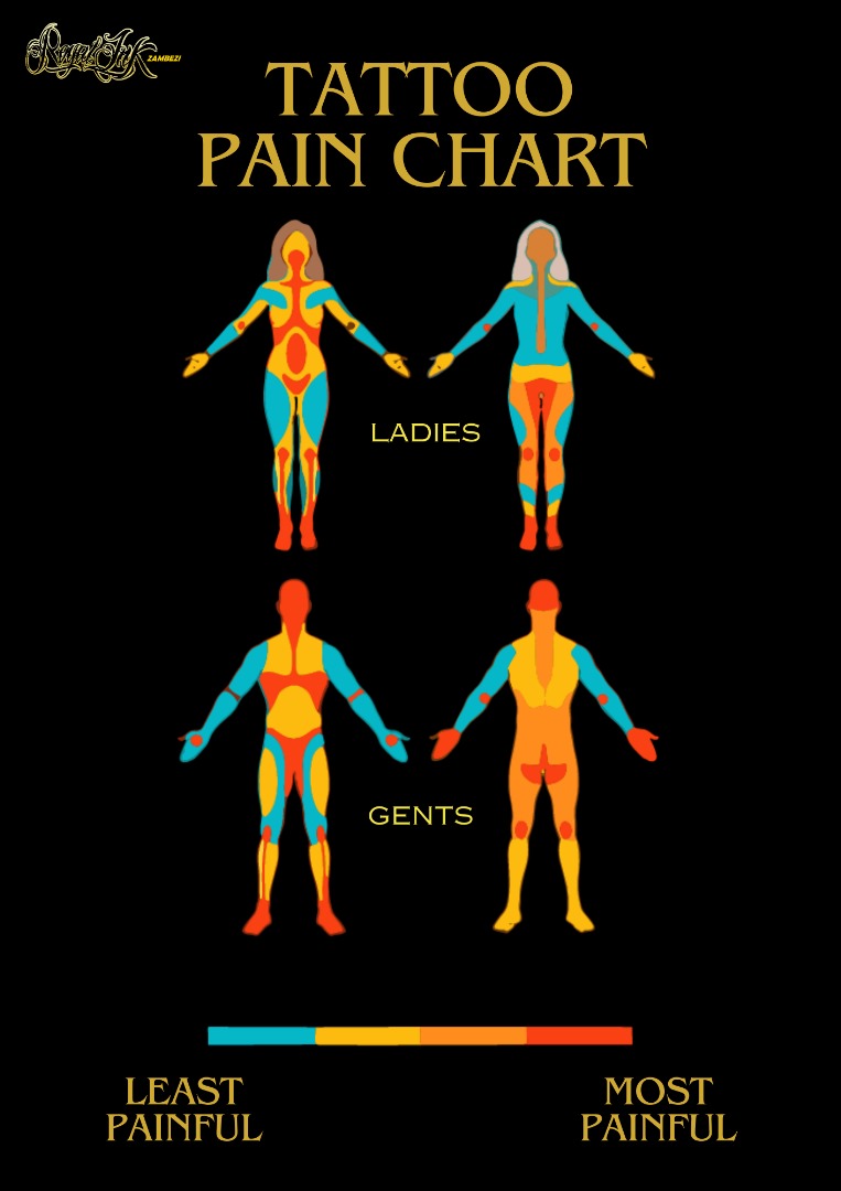 Female Tattoo Pain Chart How Does CBD Work | Nothing But Hemp