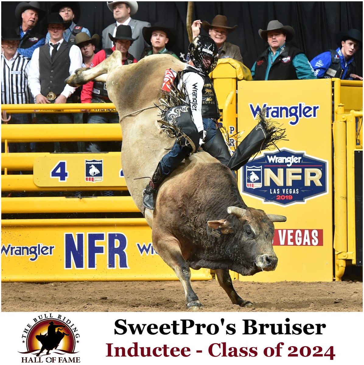Pbr Bulls Hall Of Fame