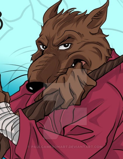 Master Splinter Vs Shredder 2024 King Splinter? A Look At The