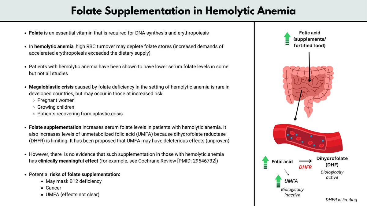 1/8 FOLATE SUPPLEMENTATION IN HEMOLYTIC ANEMIA The votes are in as to ...
