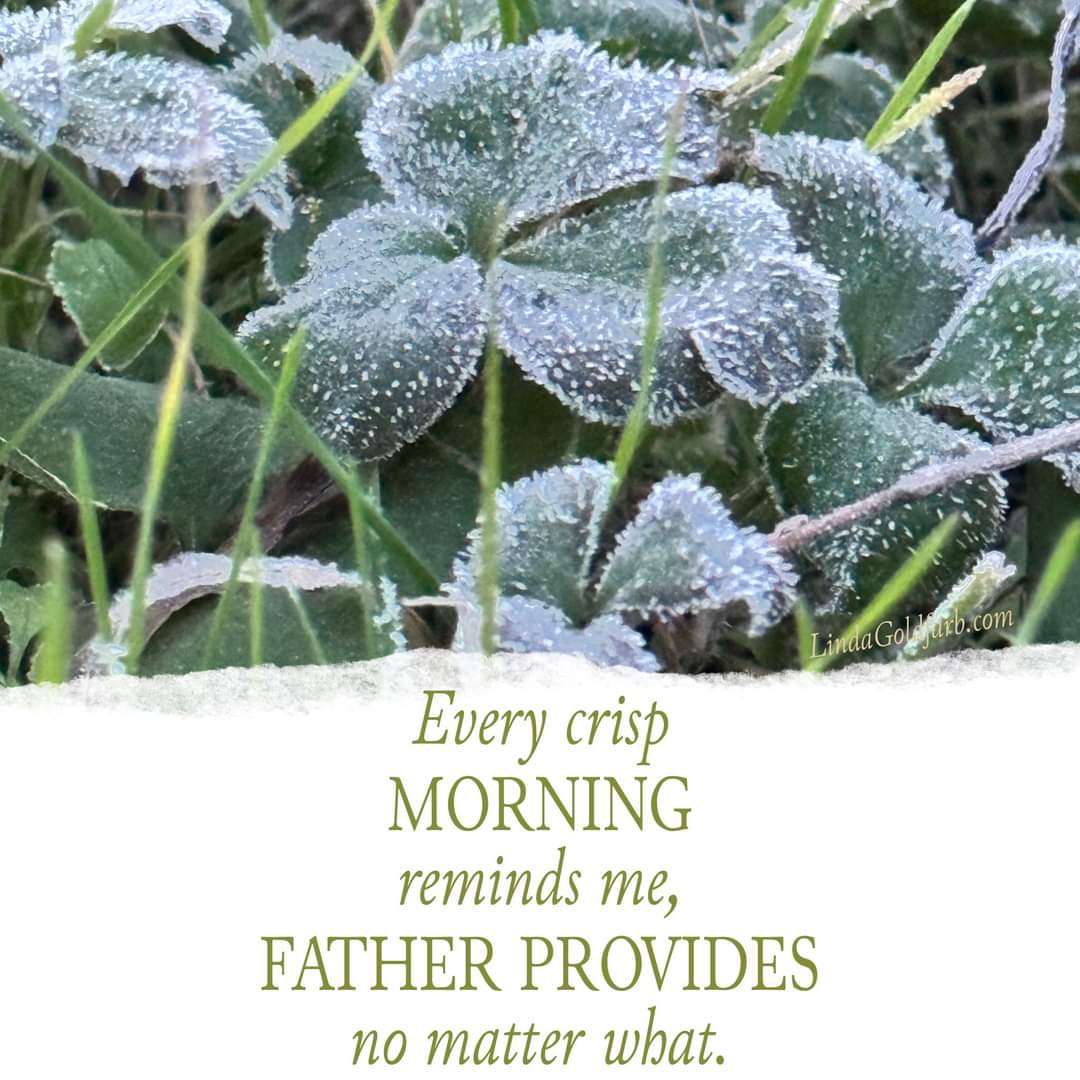 Crisp Morning Quotes Morning Maple Peerless Distilling Co.