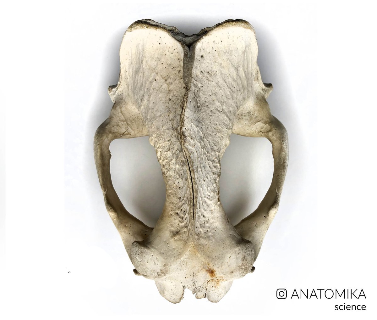 Kairo's Threads – Thread Reader App