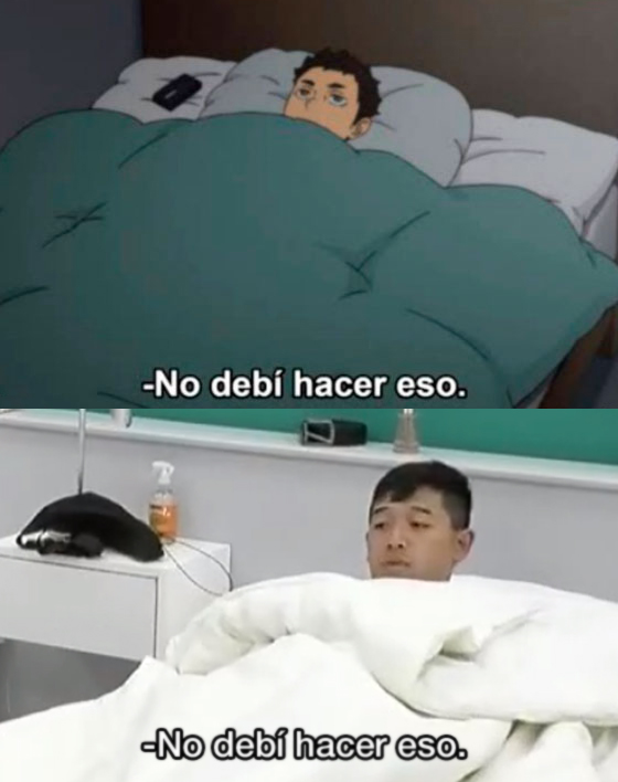 Memes Para Negar La Desinformación: Un Arma Moderna En Tiempos De
