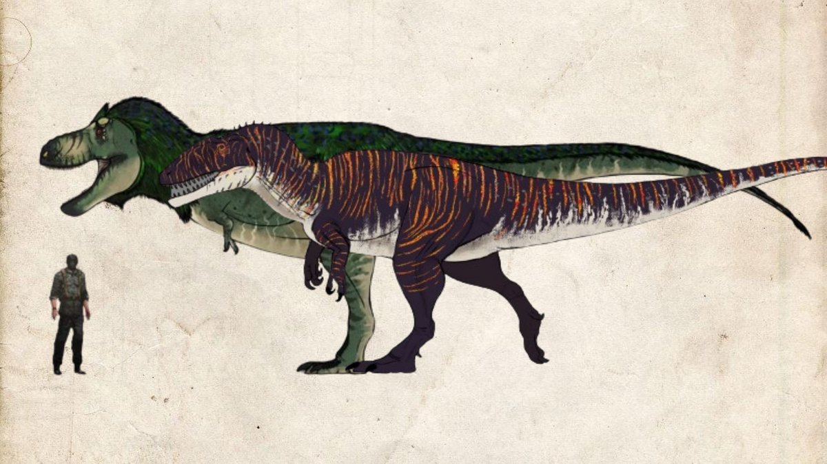 Chartúin Gleoite Brónach T Rex Tyrannosaurus Rex Osborn 1905 Plazi
