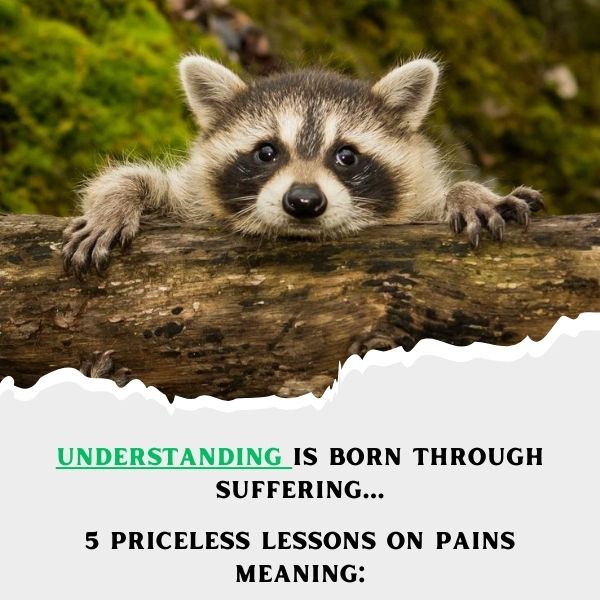 UNDERSTANDING IS BORN THROUGH SUFFERING... 5 PRICELESS LESSONS ON PAINS ...