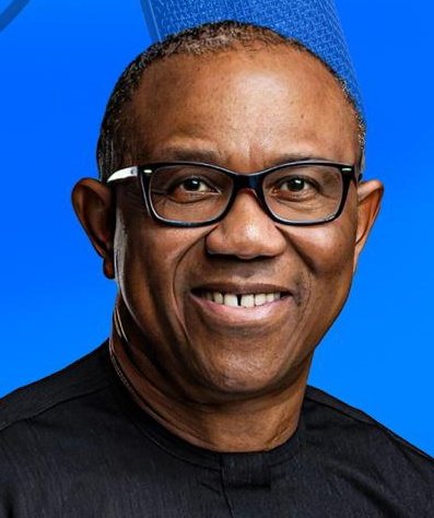 One thing I know for sure is that if Peter Obi were the President of ...