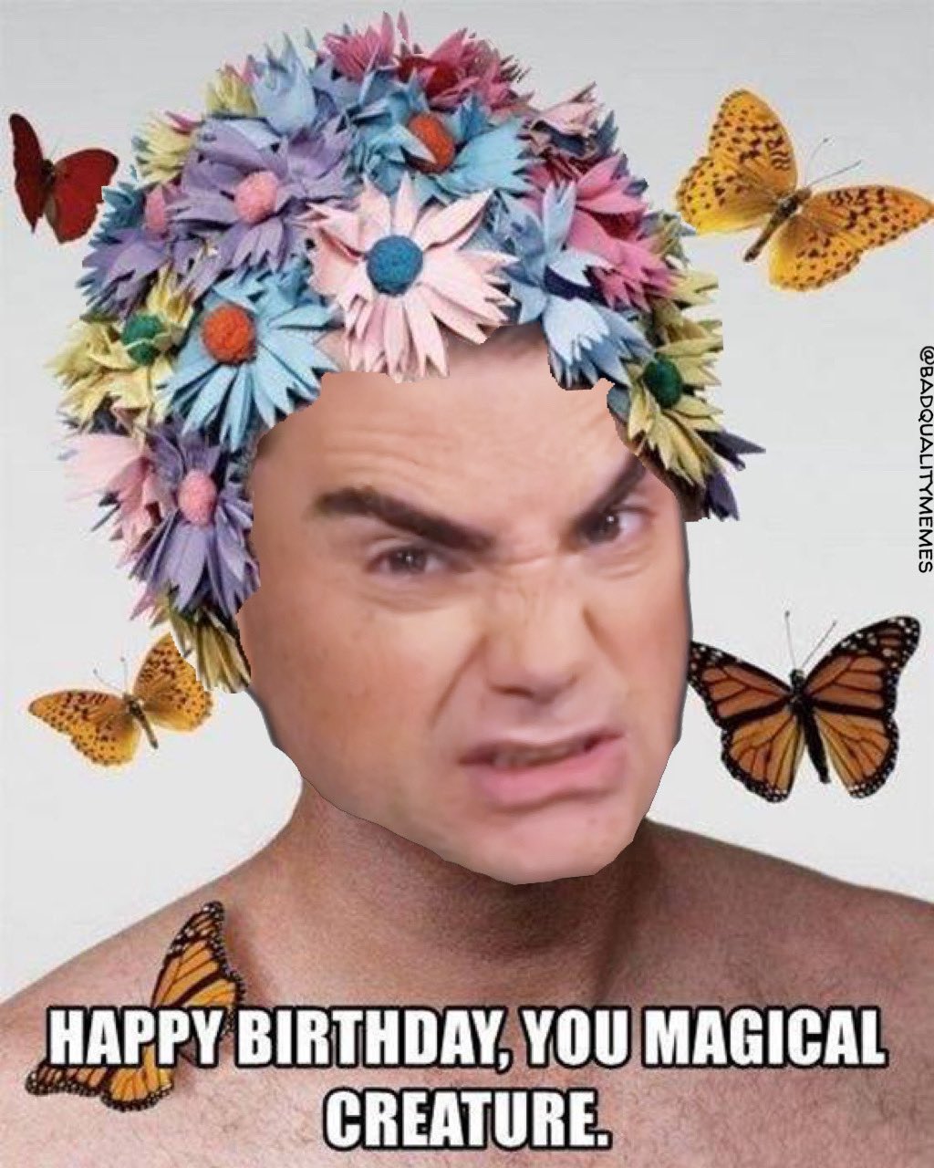 Magical Day Memes Daily Meme | Fandom