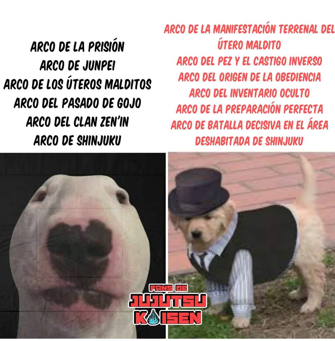 Memes Del Terrenal Funny Hamster Meme Template For CapCut | Cute And